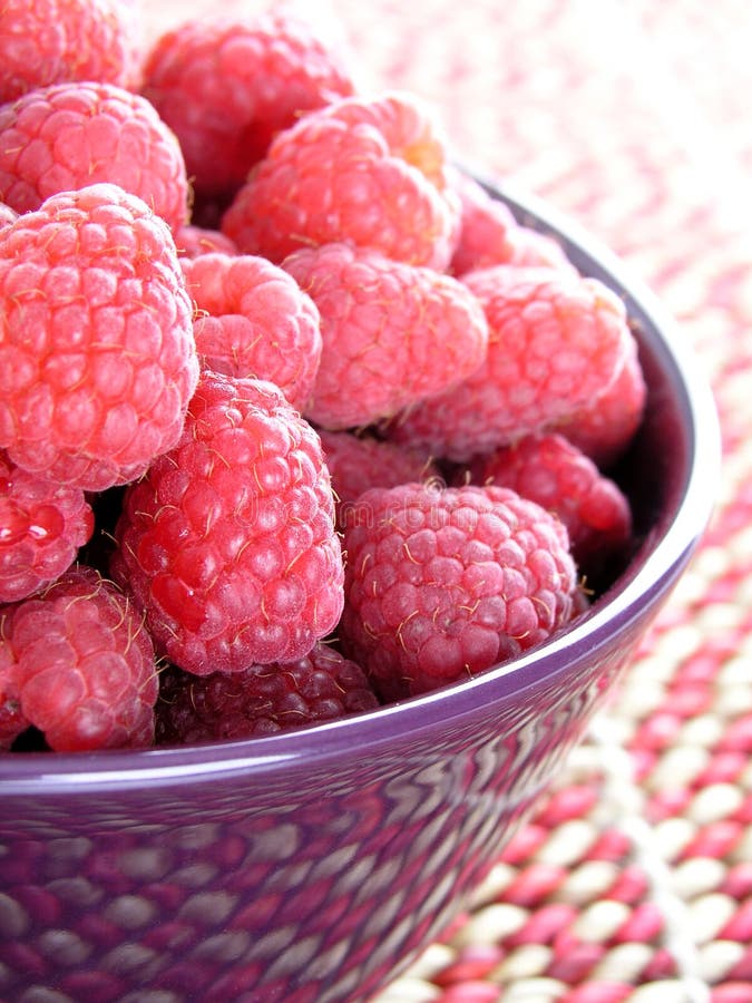 Raspberries stock image. Image of healthy, raspberries - 241681