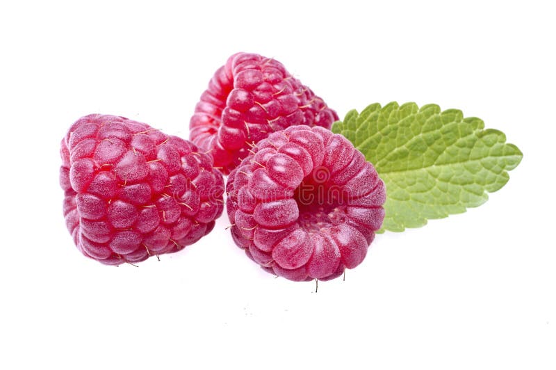 Raspberries stock photo. Image of healthy, freshness - 24363772