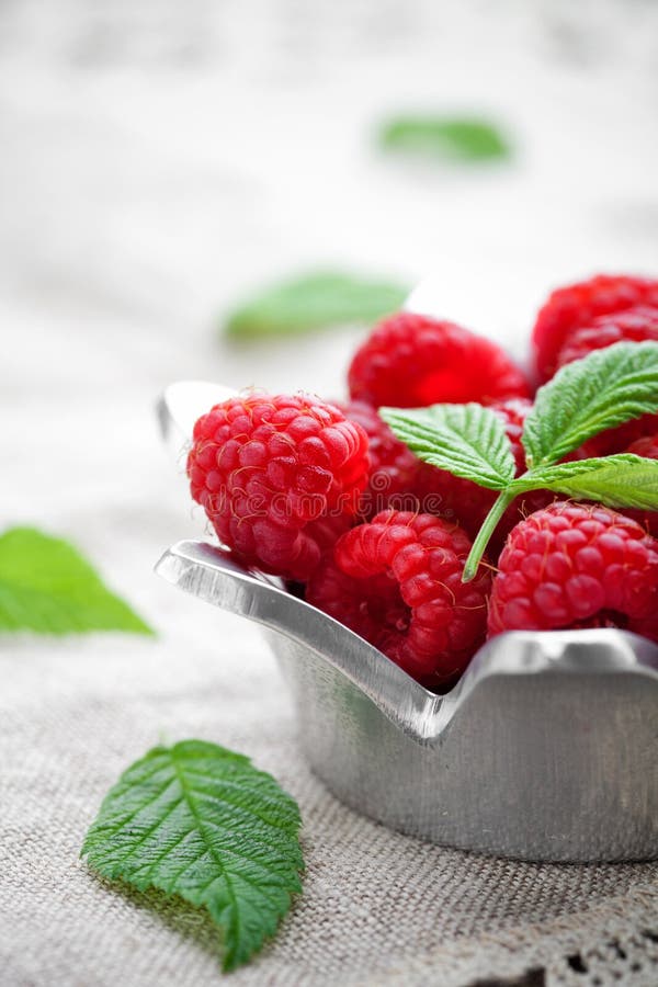 Raspberries stock photo. Image of nature, snack, purity - 5973584