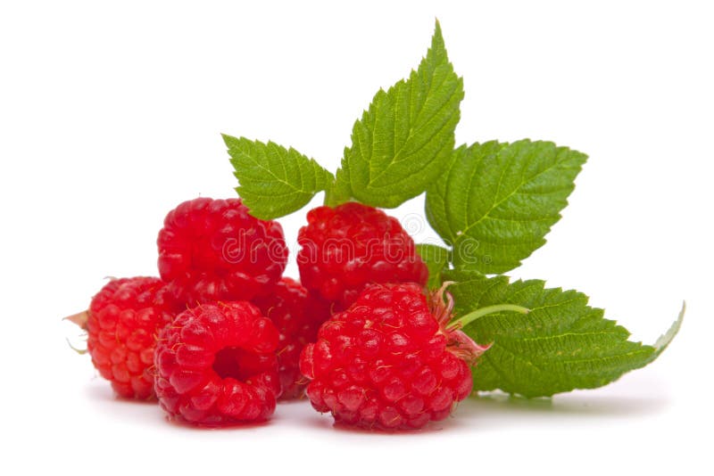 Raspberries stock image. Image of healthy, raspberries - 241681