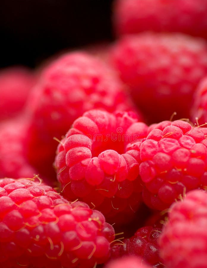 Raspberries stock image. Image of close, focus, macro - 2734933