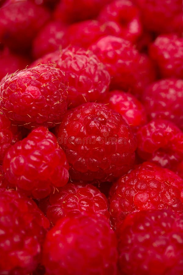Raspberries stock photo. Image of fruity, falling, food - 29636700