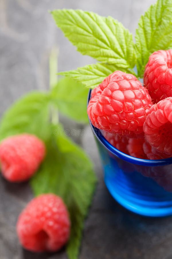 Raspberries stock photo. Image of nature, snack, purity - 5973584