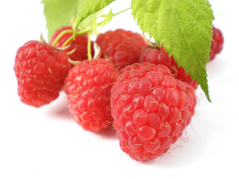 Summer raspberries stock image. Image of eating, health - 3345375