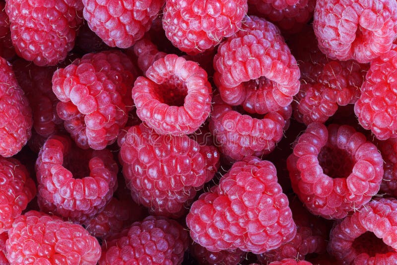 Raspberries imagem de stock. Imagem de framboesa, belo - 57724137