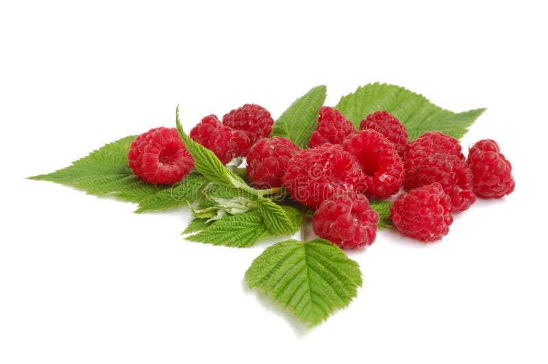 Raspberry stock photo. Image of fresh, outdoor, berries - 268678