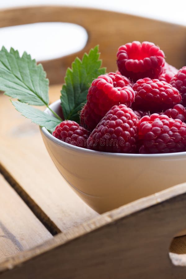 Raspberries stock photo. Image of nature, snack, purity - 5973584