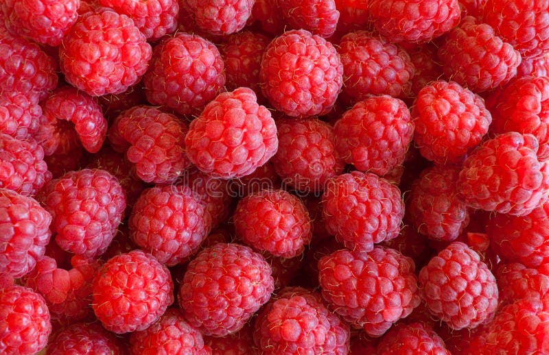Raspberries background stock image. Image of shape, close - 10183155