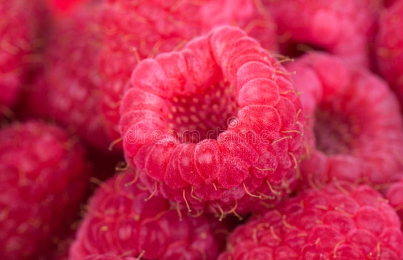 Background of Fresh Ripe Raspberries Stock Image - Image of flavor ...