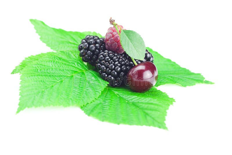 Raspberries, Blackberries,cherry and Green Leaves Stock Photo - Image ...