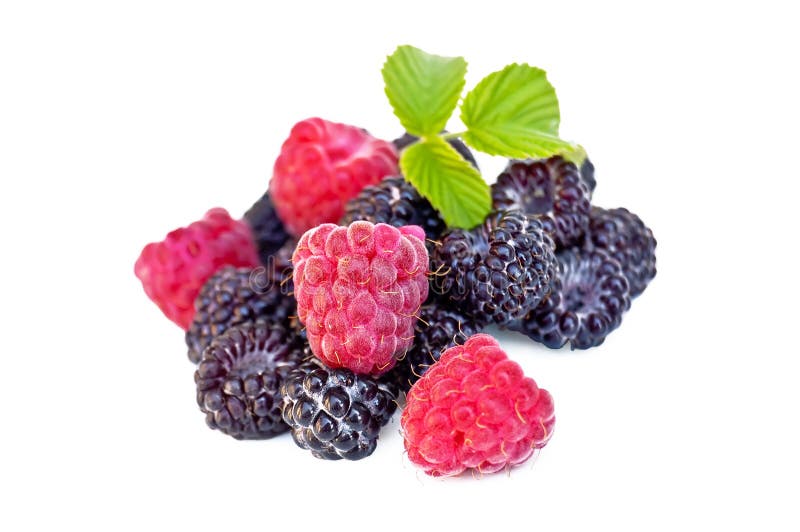 Raspberries and Blackberries with a Sheet Stock Image - Image of ...