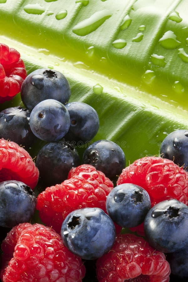 Raspberries Blueberries Leaf Background Stock Image - Image of ...