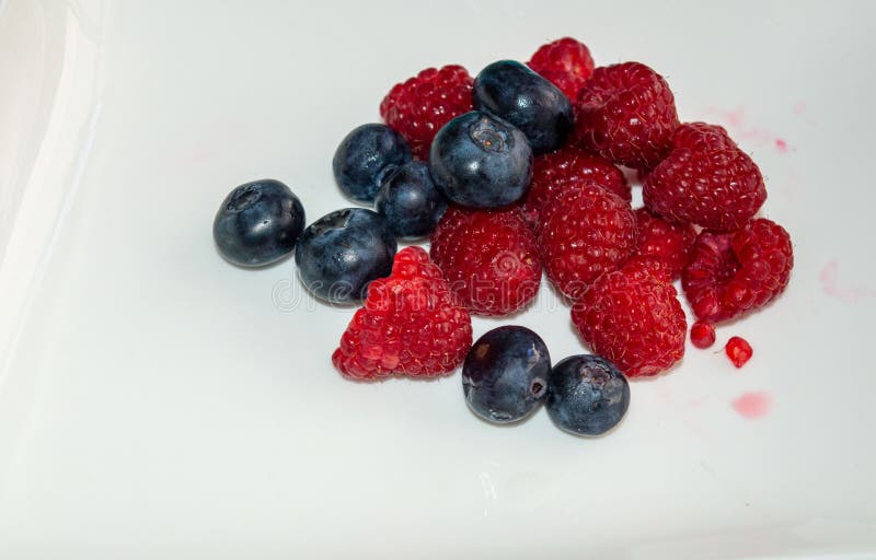 Blueberrieswhite Stock Photos - Free & Royalty-Free Stock Photos from ...