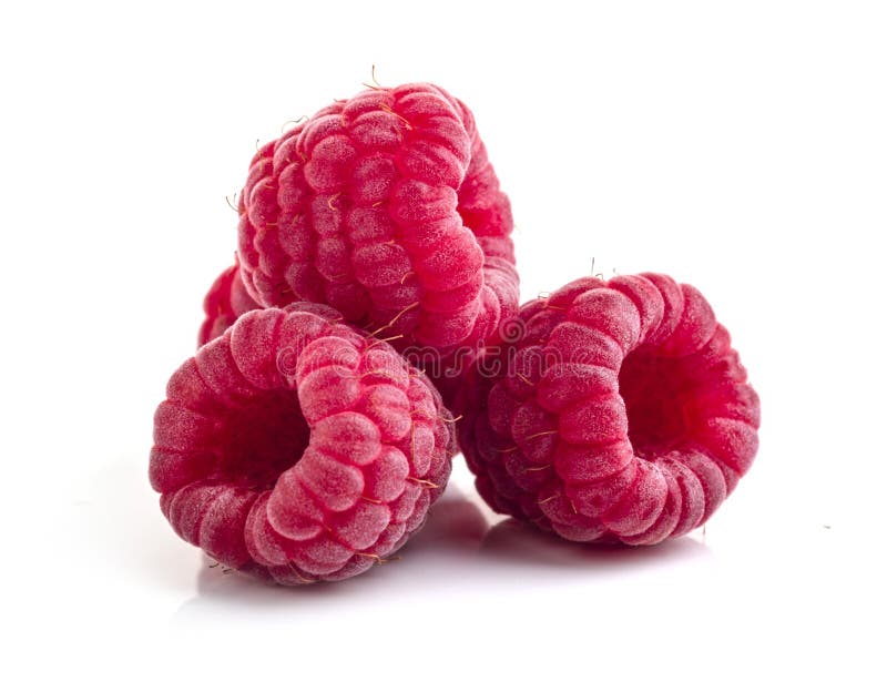 Raspberry in closeup stock photo. Image of food, raspberry - 146921074