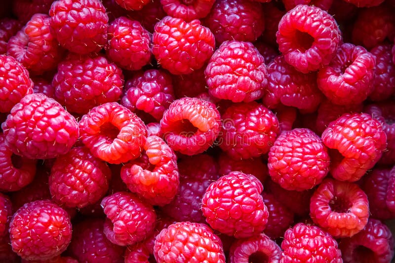 Raspberries Closeup View Background Stock Photo - Image of natural ...