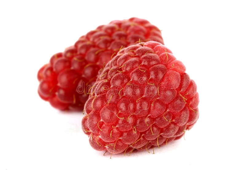 Red raspberry stock image. Image of white, raspberry, raspberries - 1860971