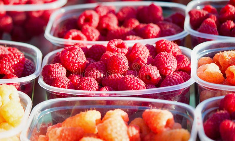 Raspberries in Containers for Sale. Stock Photo - Image of shop ...