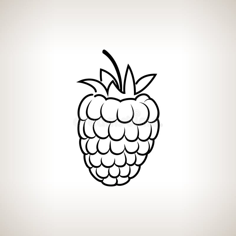 Raspberries in the Contours Stock Vector - Illustration of food ...