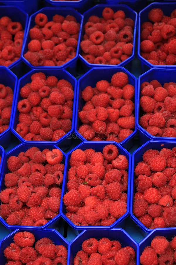 Raspberries on display stock image. Image of berry, display - 97669161
