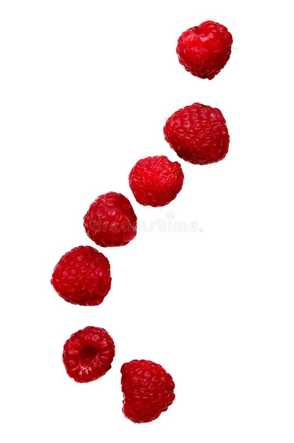 Raspberries Falling Isolated On A White Background Stock Image Image