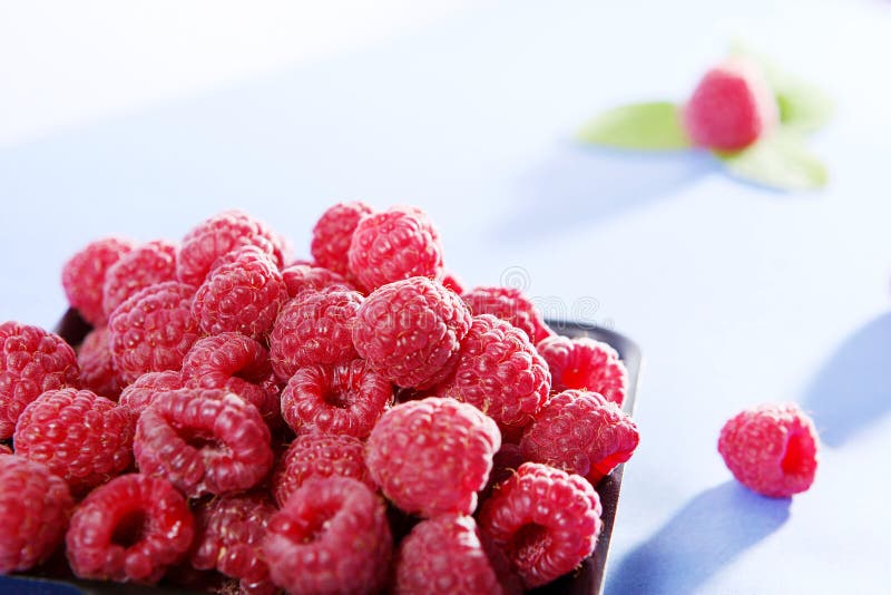 Raspberries stock photo. Image of table, mini, tables - 44800668