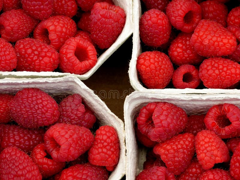Raspberries stock image. Image of closeup, container - 143206205