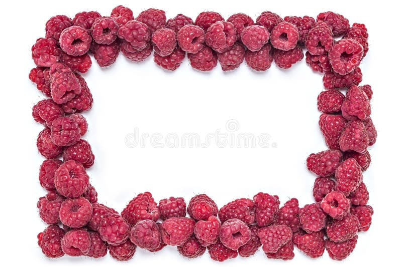 Border Raspberries Stock Images - Download 803 Royalty Free Photos