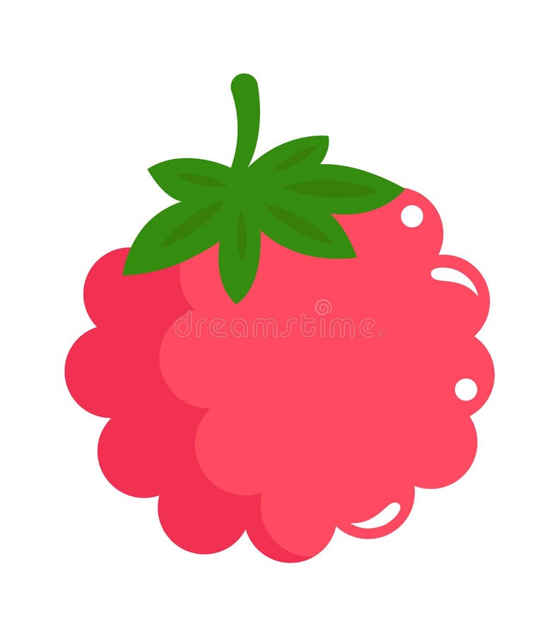 Raspberries Fruit. Healthy Food Stock Vector - Illustration of ...