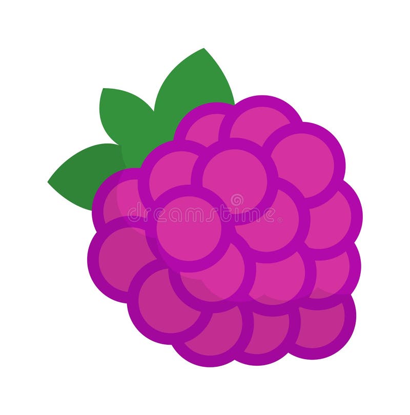 Raspberries fruit icon stock vector. Illustration of group - 262753399