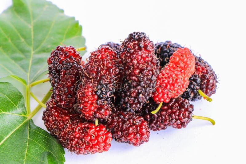 Fruits and Berries Raspberries Stock Image - Image of fresh, berries ...