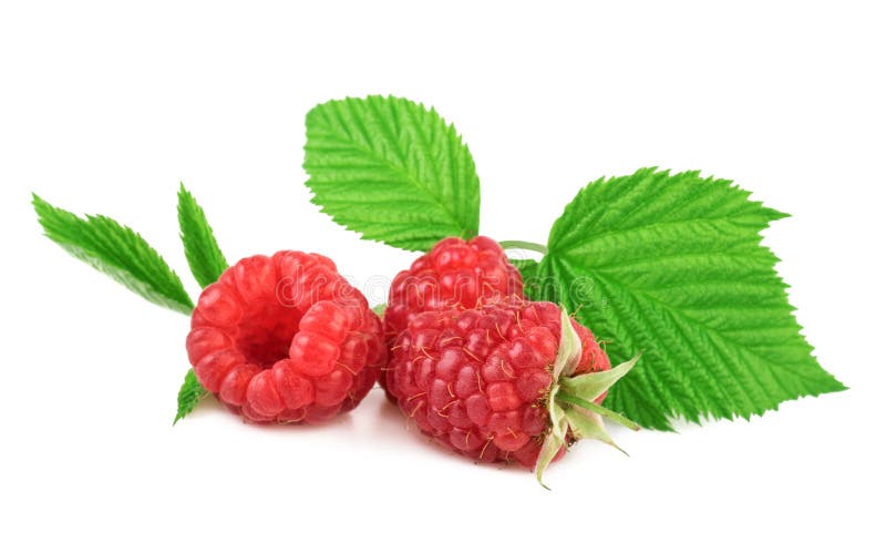 Raspberries with Green Leaf Organic Raspberry Isolated on White Close ...