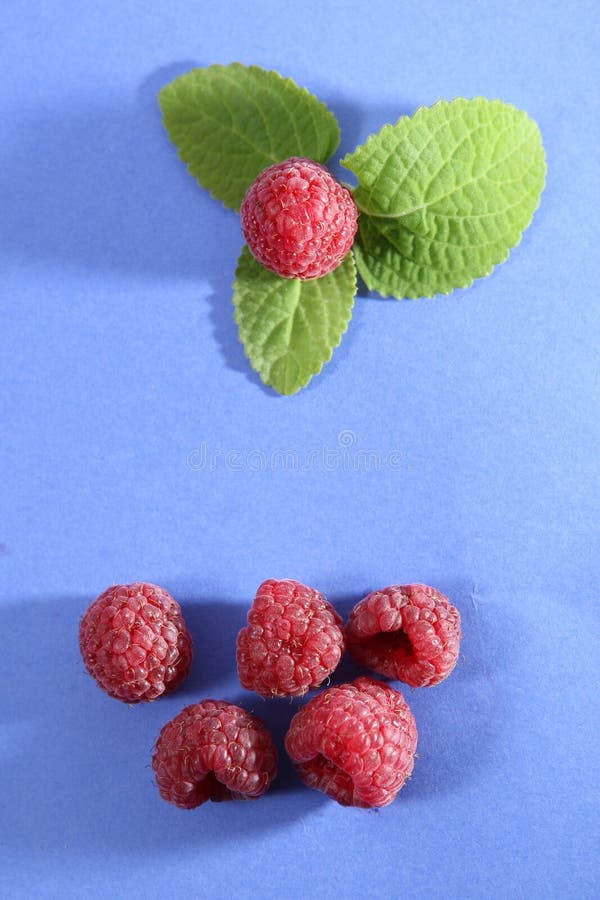 Raspberries and Green Leaves Stock Photo - Image of fresh, meal: 44570482