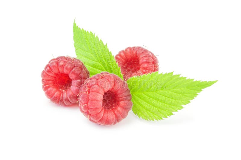 Raspberries with Green Leaves on White Background Stock Photo - Image ...