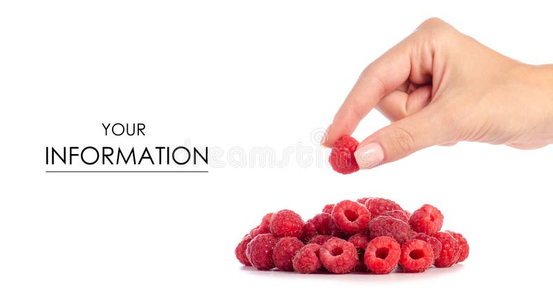 Raspberries in Hand Pattern Stock Image - Image of holding, closeup ...