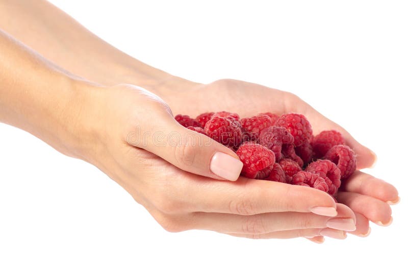 Raspberries in hand stock photo. Image of organic, green - 118928674