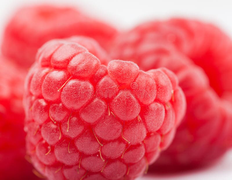 Raspberries stock image. Image of healthy, garden, macro - 32410417
