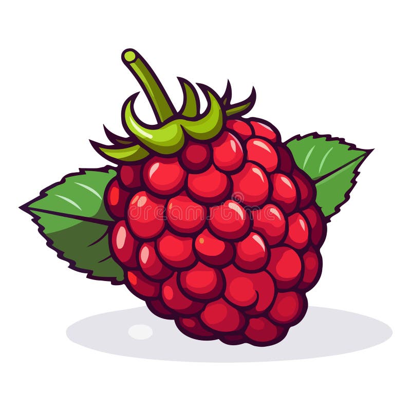 Raspberries Image. Cute Image of an Isolated Raspberries. Vector ...