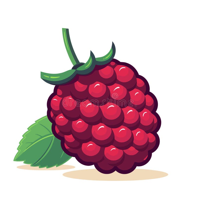 Raspberries Image. Cute Image of an Isolated Raspberries. Vector ...