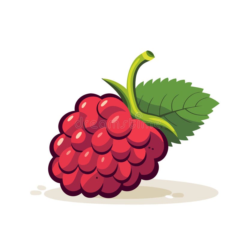 Raspberries Image. Cute Image of an Isolated Raspberries. Vector ...