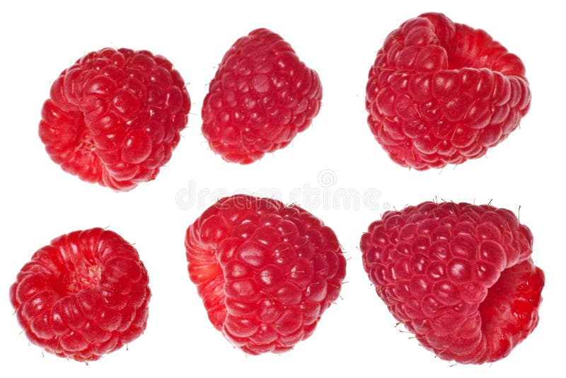 Red raspberries stock photo. Image of mint, idaeus, green - 19821222