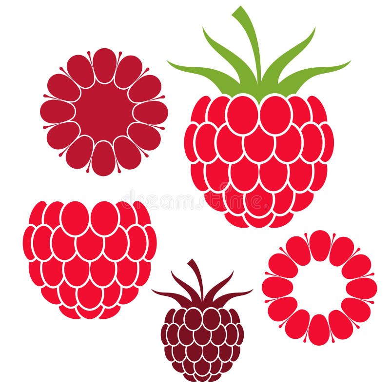 Blueberry. Set stock vector. Illustration of silhouette - 53824277