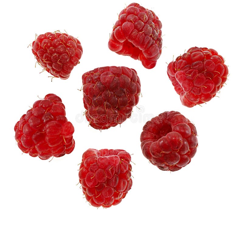 Raspberries Isolated on White Stock Image - Image of drink, circle ...