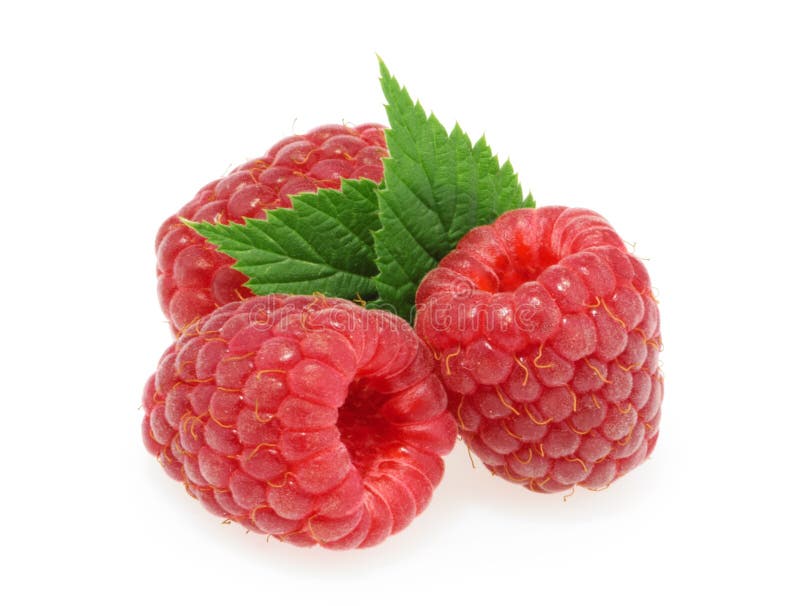 Raspberries Isolated on White Background Stock Photo - Image of juicy ...