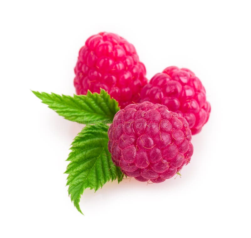 Raspberry fruit stock photo. Image of berry, ingredient - 21923524