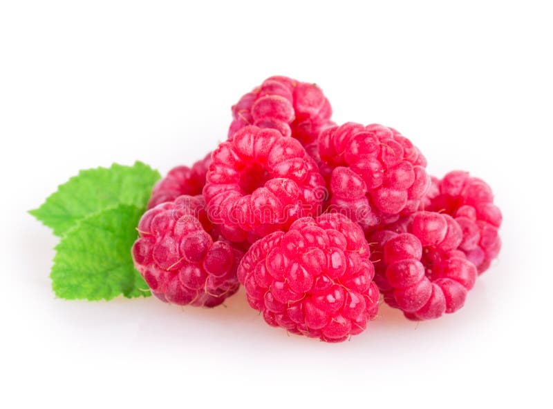Raspberry stock photo. Image of berry, eating, healthy - 7436308