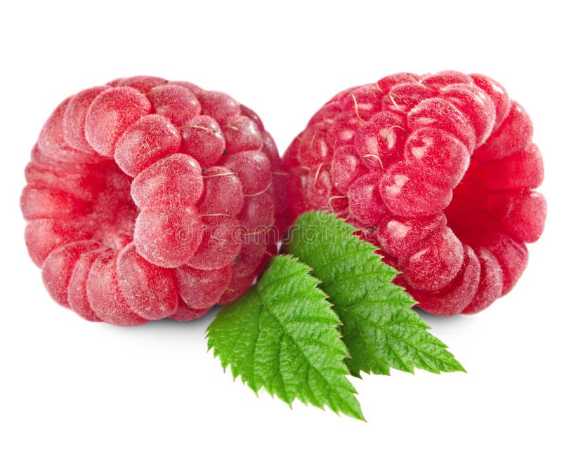 Raspberries stock image. Image of juicy, healthy, fresh - 21315925