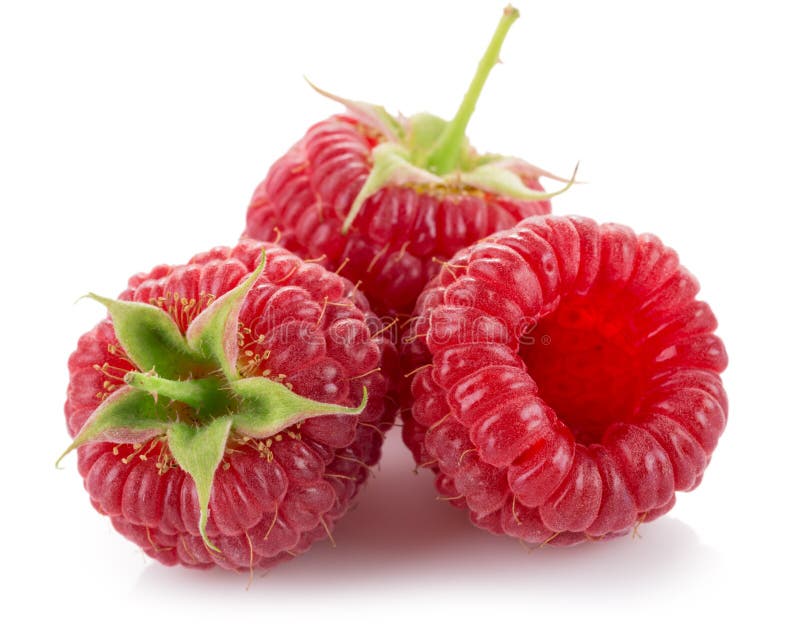 Single Raspberry Isolated on the White Background Stock Photo - Image ...