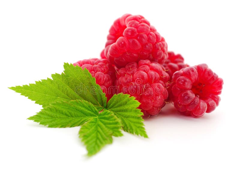 Raspberries and leaves stock image. Image of ripe, pink - 330418785