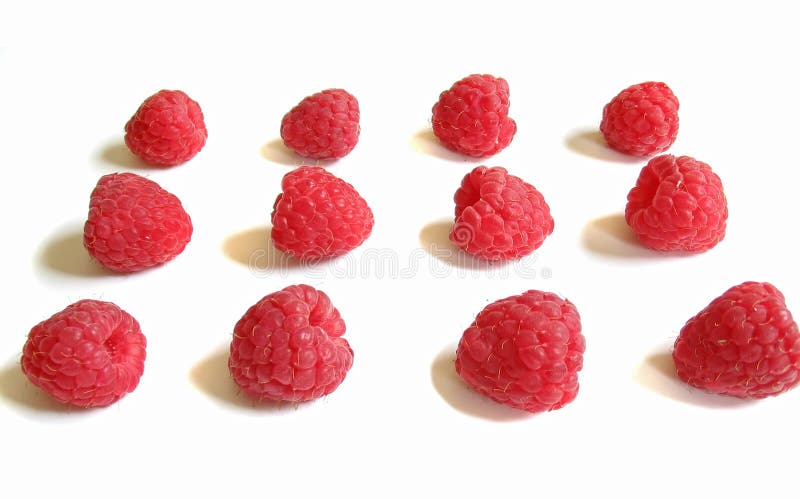 Raspberries in line stock photo. Image of detail, desert - 1017404