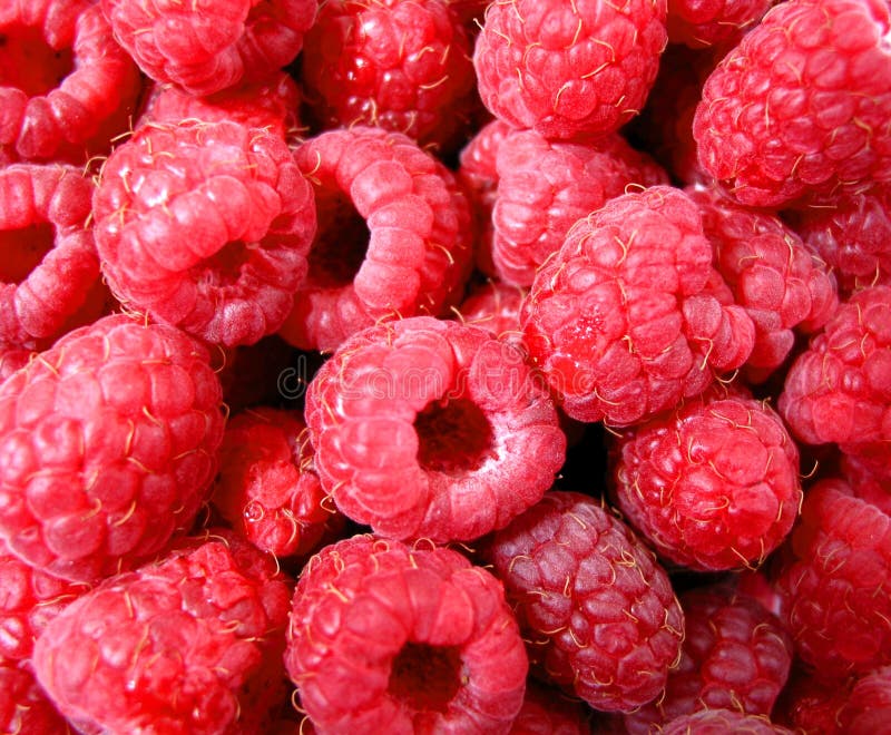 Raspberries stock image. Image of flavor, produce, dessert - 21593511